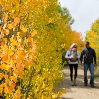 Best Hiking Trails for Fall | Winter Park Colorado